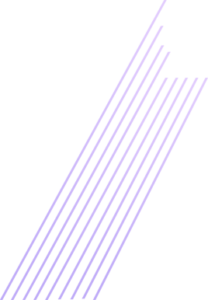 What We Do – SIT Group